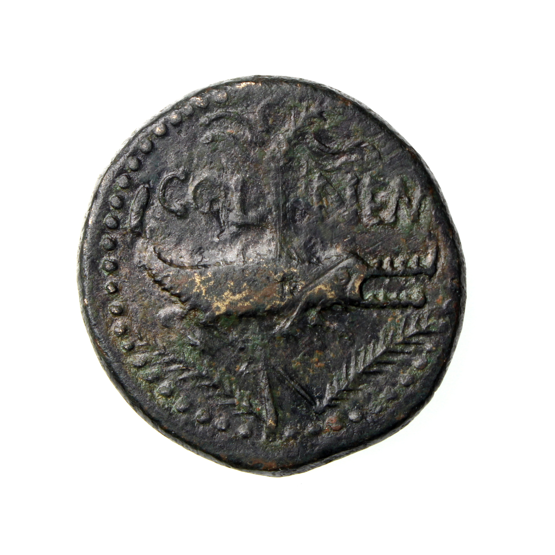 GAUL, Nemausus Augustus & Aprippa Bronze Dupondius 27BC-14AD - Silbury ...