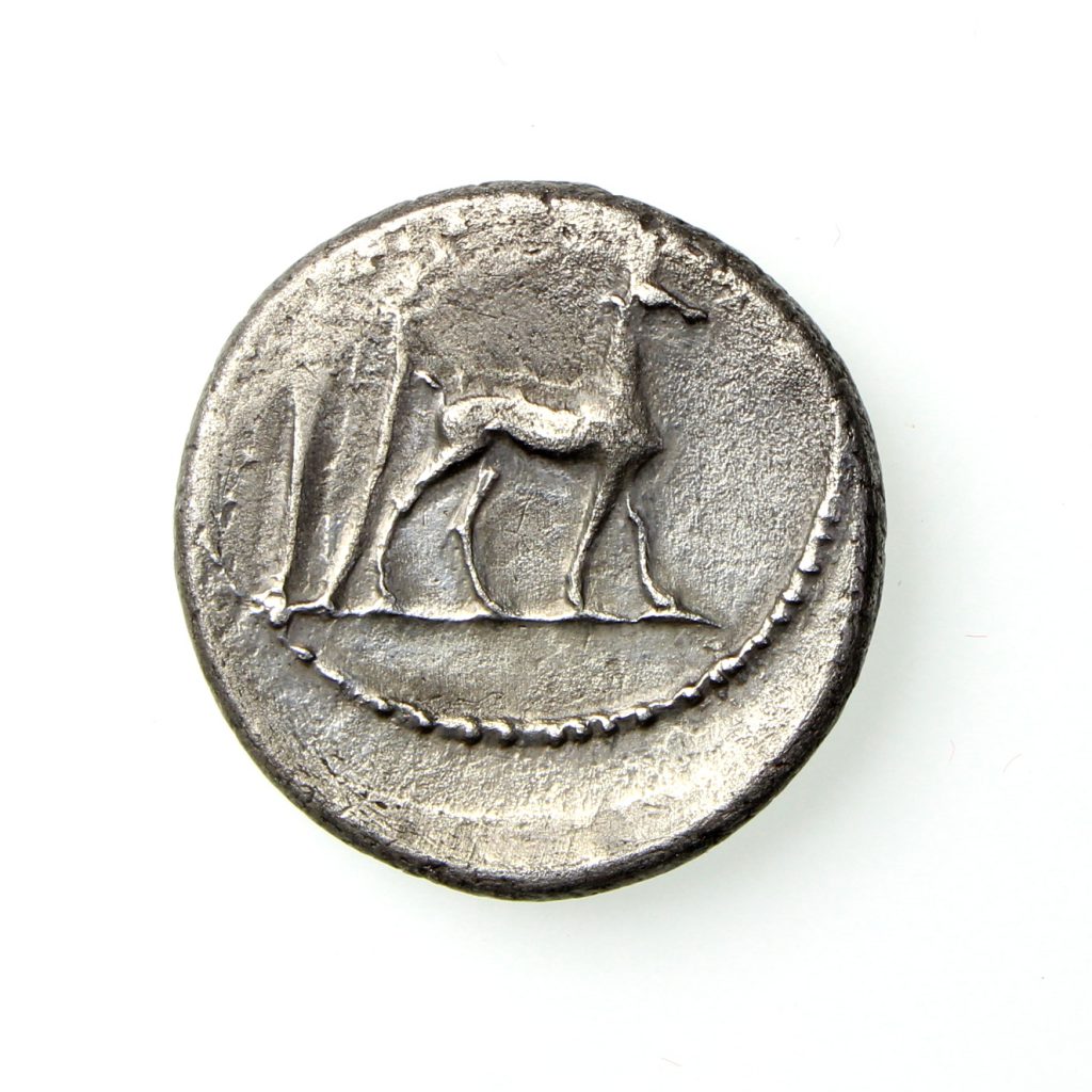 Cn Plancius Silver Denarius 55BC Rome mint - Silbury Coins : Silbury Coins