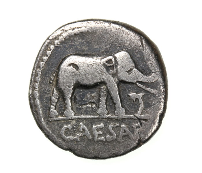 Julius Caesar 49BC Silver Denarius Elephant walking - Silbury Coins ...