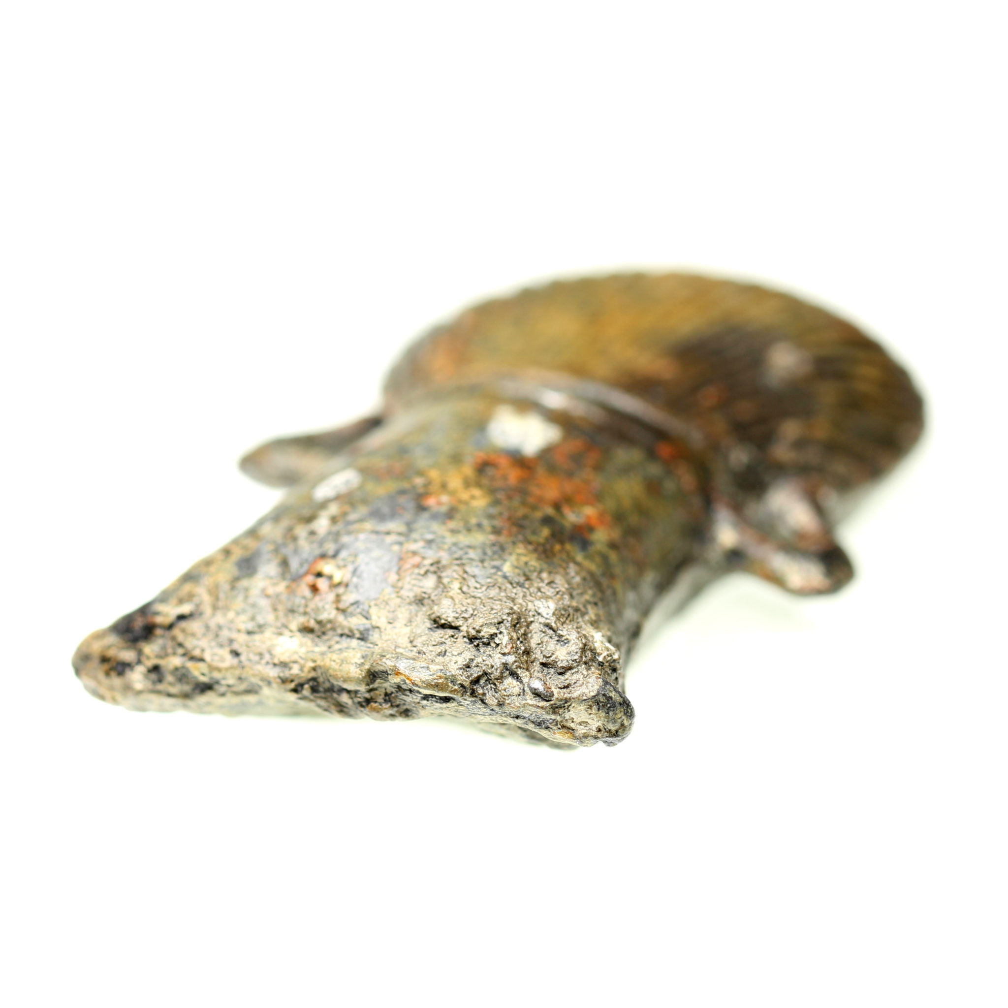 Medieval Lead Pilgrims Ampulla - 15th Century AD - Silbury Coins ...