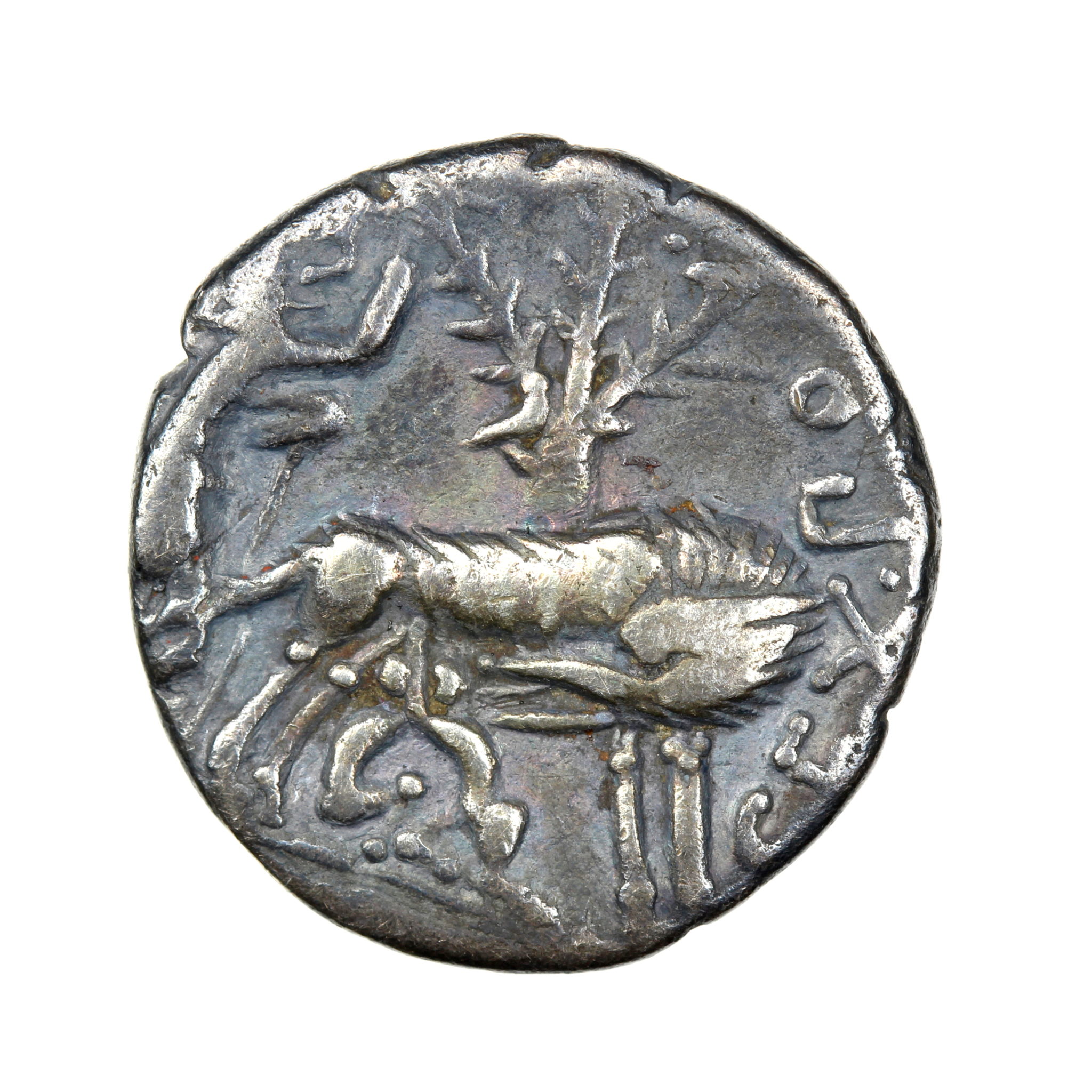 Roman Republic Sextus Pompeius 137BC Silver Denarius - Silbury Coins ...