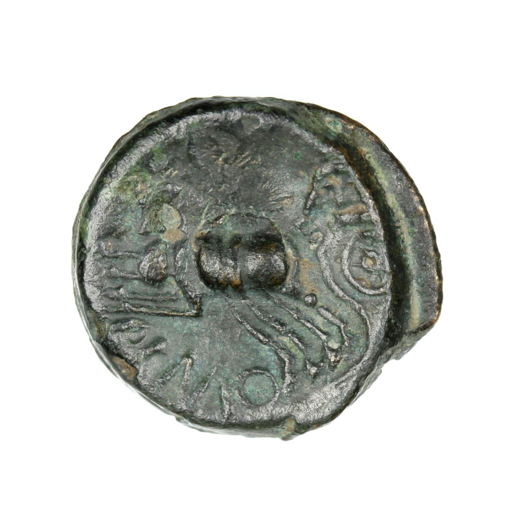 Celtic Gaul Remi 100-50BC Bronze Unit - Silbury Coins : Silbury Coins