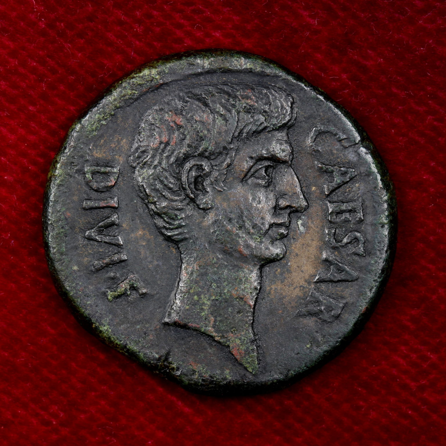 Octavian & Julius Caesar 38BC The Twelve Caesars Bronze Dupondius ...