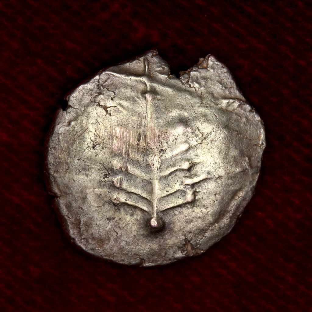 Dobunni Eisu 20-43AD Gold Stater - Silbury Coins : Silbury Coins