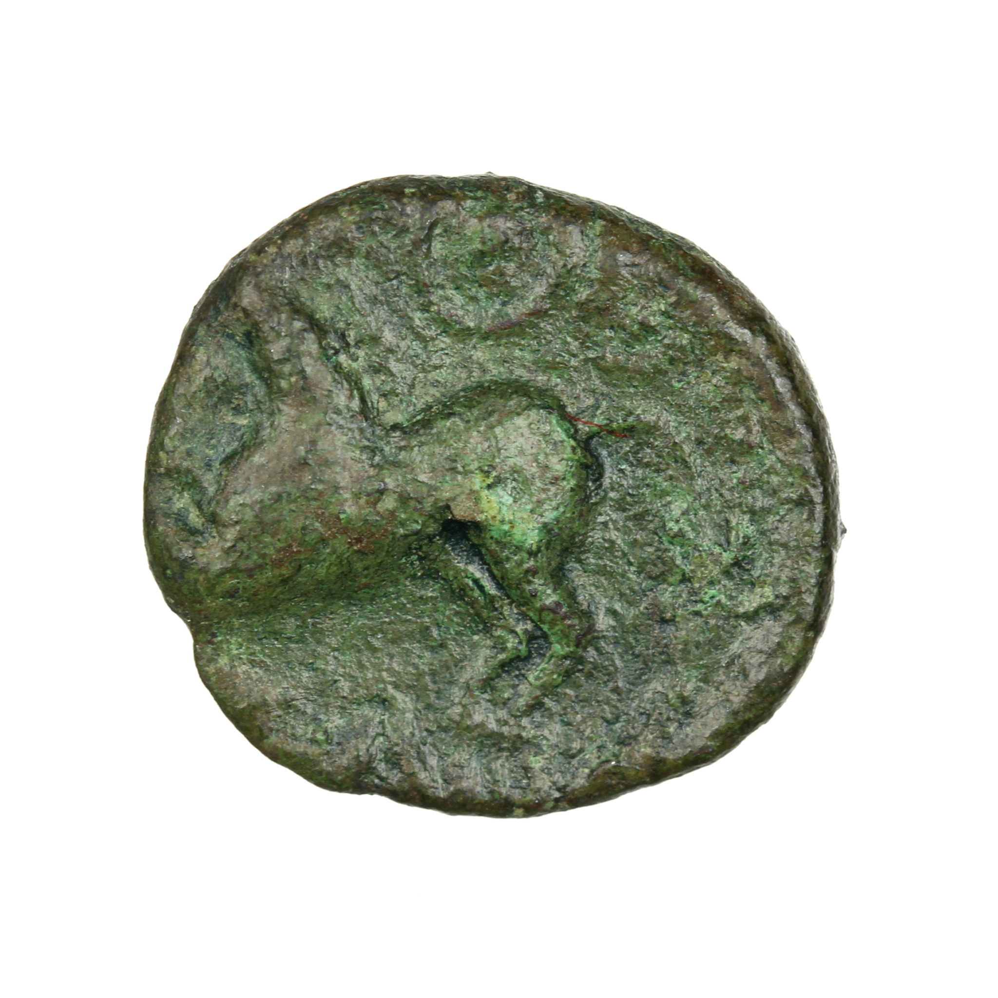 Cantiaci Sam AD 1-10 Sam Boar Branch Bronze Unit, rare - Silbury Coins ...