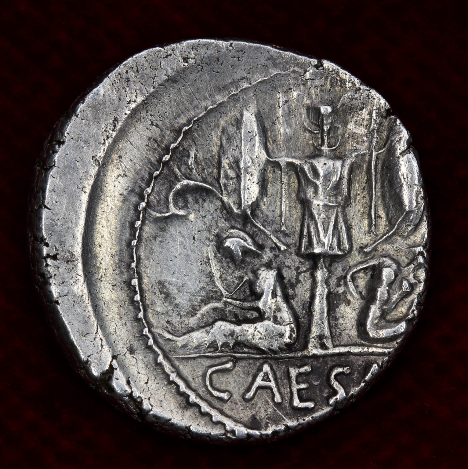 Julius Caesar 49-44 BC Silver Denarius - Silbury Coins : Silbury Coins