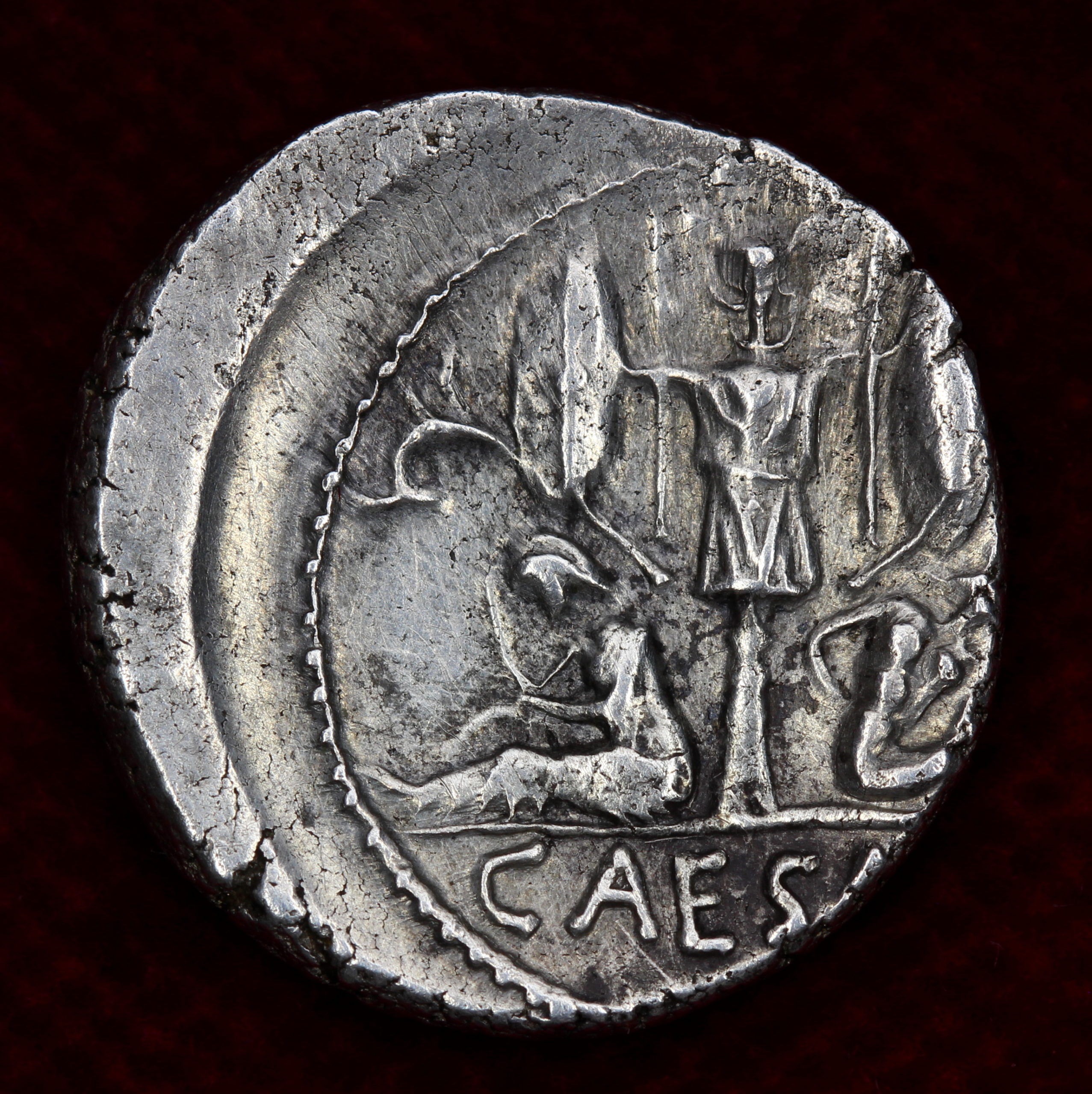 Julius Caesar 49-44 BC Silver Denarius - Silbury Coins : Silbury Coins