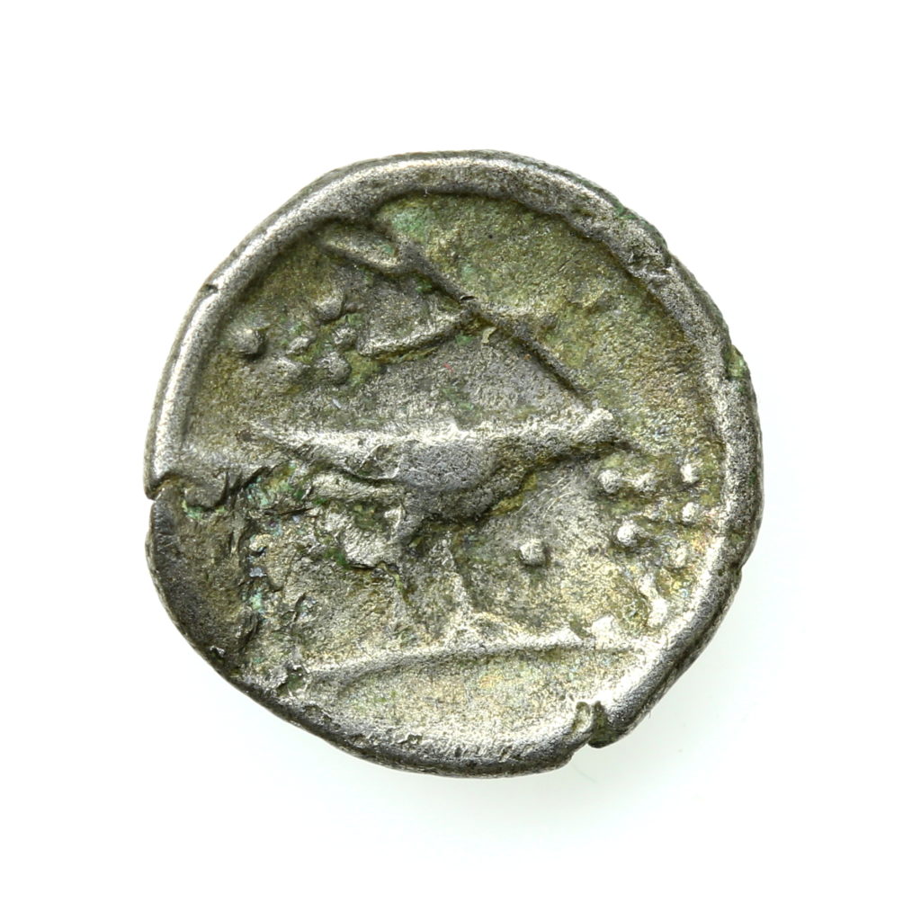 Atrebates & Regini Coins for Sale | Iron Age and Celtic | Silbury Coins ...