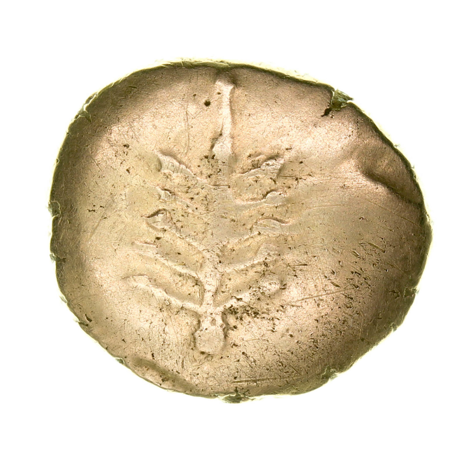 Dobunni Catti AD 1-20 Gold Stater Catti Tree - Silbury Coins : Silbury ...